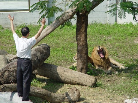 Apparently Mentallyderanged Taiwan Man Tries Talk Editorial Stock Photo ...