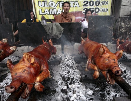 Filipinos Roast Pigs Roasted Pig Shop Editorial Stock Photo - Stock ...
