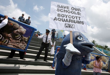 Activist Fish Costume People Ethical Treatment Editorial Stock Photo ...