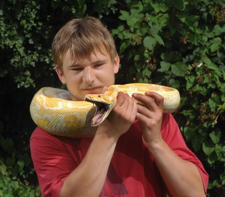 Dozy Danny Palmer His 12ft Long Editorial Stock Photo - Stock Image ...