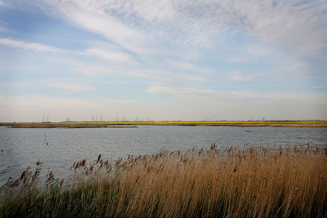 Dungeness Rspb Nature Reserve Which Threatened Editorial Stock Photo ...