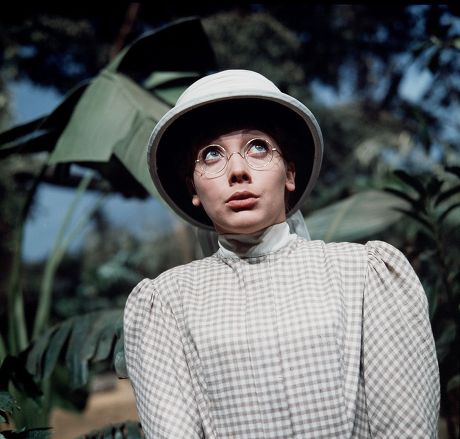 Carry On Jungle Jacki Piper Editorial Stock Photo - Stock Image ...