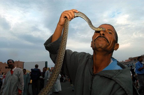 Moroccan Snake Charmer Dances Deadly Viper Editorial Stock Photo ...