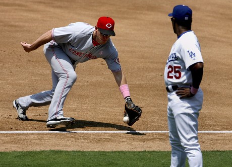 Cincinnati Reds First Baseman Jeff Conine Editorial Stock Photo - Stock ...