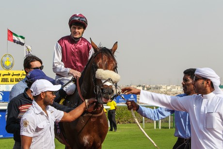 Horse Racing from Jebel Ali, Dubai, United Arab Emirates - 20 Jan 2017 ...