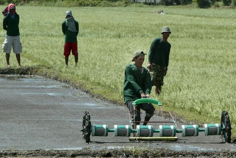Filipino Farmer Uses Drum Seeder Plant Editorial Stock Photo - Stock ...