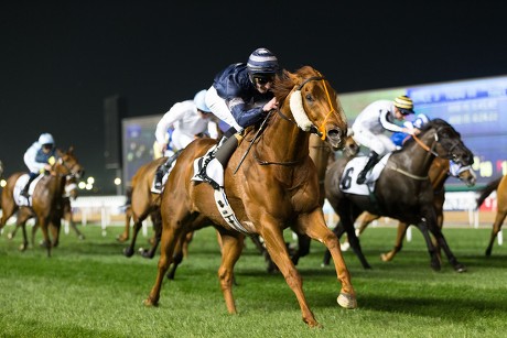 Medicean Man Under Jeremy Gask Wins Editorial Stock Photo - Stock Image ...