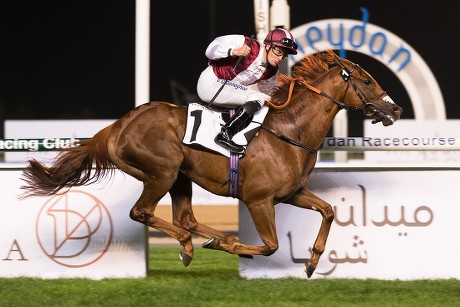 Medicean Man Under Jeremy Gask Wins Editorial Stock Photo - Stock Image ...