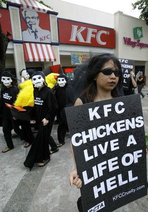 The PETA Movement