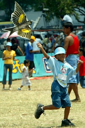 Filipino Boy Tries Fly His Birdshaped Editorial Stock Photo - Stock ...
