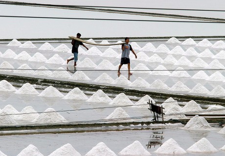 Workers Pass Salt Mounds They Carry Editorial Stock Photo - Stock Image ...