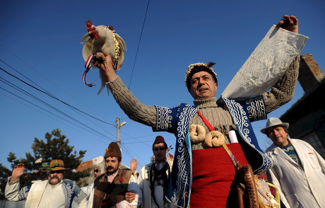 Man Dances Rooster During Celebration Day Editorial Stock Photo - Stock ...