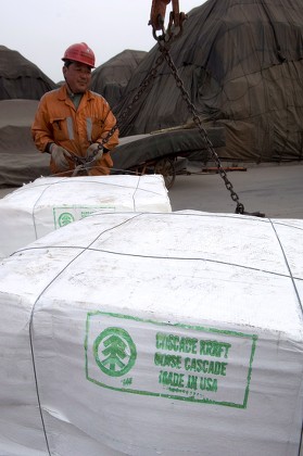 Dockworker Unloads Paper Pulp Goods Which Editorial Stock Photo - Stock ...