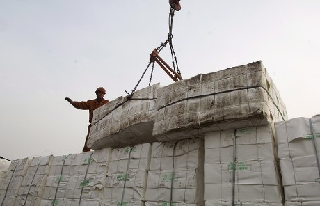 Dockworker Unloads Paper Pulp Goods Which Editorial Stock Photo - Stock ...