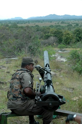 Sri Lanka Army Artillery Seargent Trains Editorial Stock Photo - Stock ...