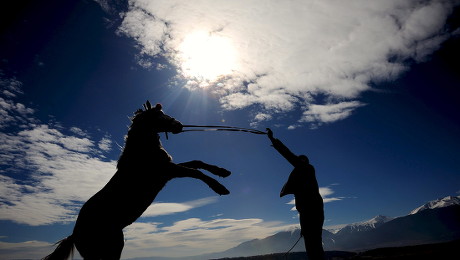 Horseman Work During Celebrations Marking Traditional Editorial Stock ...