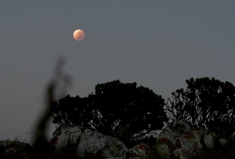Total Eclipse Moon Above Indigenous Potberg Editorial Stock Photo ...