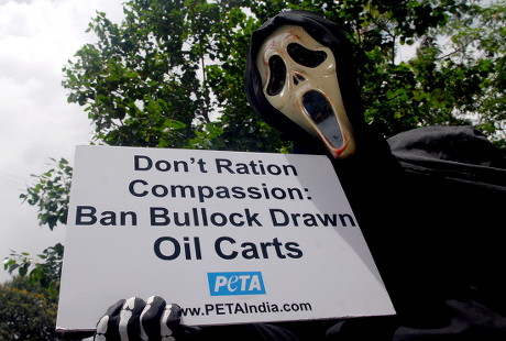 Peta Activist Dressed Horror Movie Character Editorial Stock Photo ...