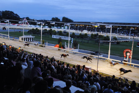 __COUNT__ Last night of racing at Walthamstow Greyhound Stadium, London ...