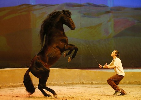 500 Cavalia Stock Pictures, Editorial Images and Stock Photos ...