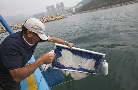 Staff Plastic Free Seas Deploys Fine Editorial Stock Photo - Stock ...