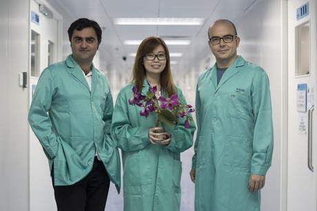 Bauhinia Genome Project Initiators Executive Editor Editorial Stock ...