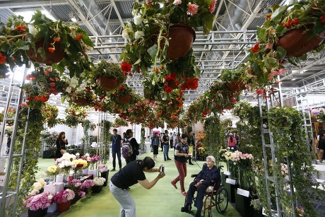 73 Flower exhibition center Stock Pictures, Editorial Images and Stock ...