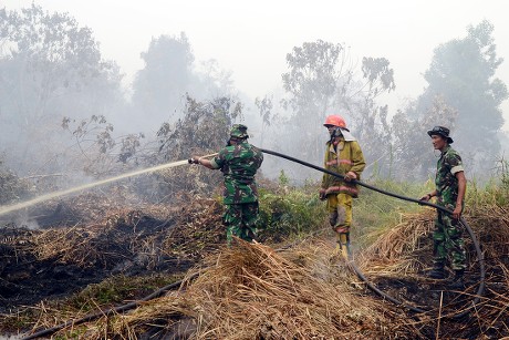 Indonesian Firefighter Soldiers Extinguish Forest Fire Editorial Stock ...