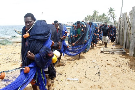 Ivorian Fishermen Carry Fishing Nets Abidjan Editorial Stock Photo ...