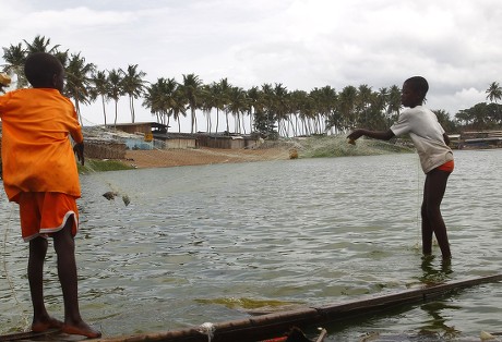 Ivorian Fishing Fisherman Fishing Abidjan Ivory Editorial Stock Photo ...