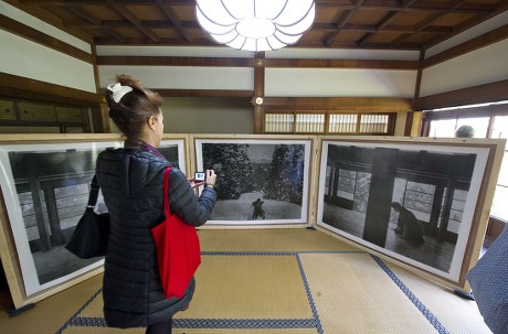 Visitor Looks Photographs Rongrong Inri Exhibit Editorial Stock Photo ...