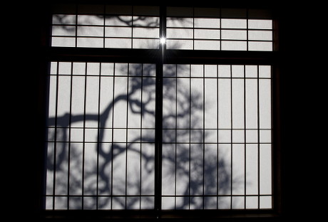 Pine Tree Silhouetted Onto Japanese Paper Editorial Stock Photo - Stock ...