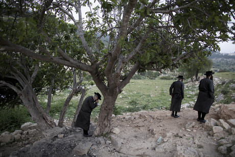 Ultraorthodox Jewish Men Pray Others Came Editorial Stock Photo - Stock ...