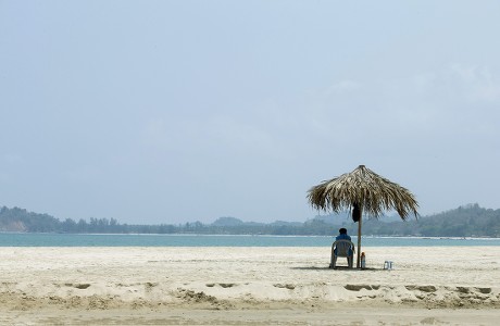Beach Watcher Sits Under Palm Leaves Editorial Stock Photo - Stock ...