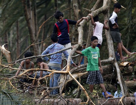 Filipinos Stand Among Fallen Trees Town Editorial Stock Photo - Stock ...