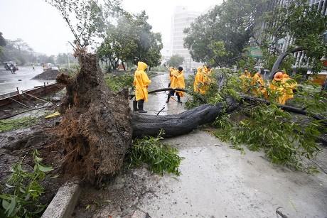 Filiino Workers Clear Uprooted Tree Manila Editorial Stock Photo ...