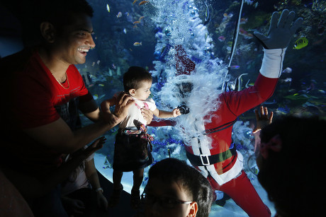 Visitors Look Underwater Santa Claus Southeast Editorial Stock Photo ...