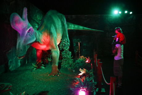 96 Dinosaur town Stock Pictures, Editorial Images and Stock Photos ...