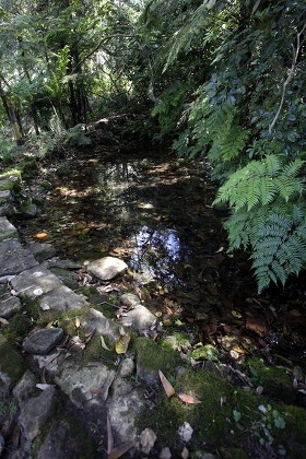 View Natural Spring Well Used By Editorial Stock Photo - Stock Image ...