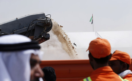 Dubai Municipal Workers Look On Confiscated Editorial Stock Photo ...