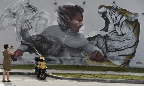 Graffiti Artist Shalak Attack Works On Editorial Stock Photo - Stock ...