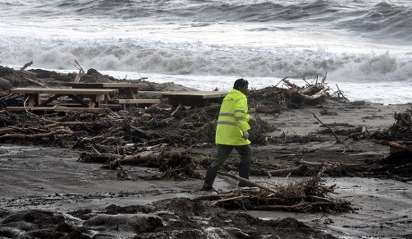 California State Park Worker Walks Among Editorial Stock Photo - Stock ...