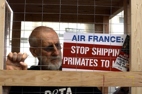 Peta People Ethical Treatment Animals Activist Editorial Stock Photo ...
