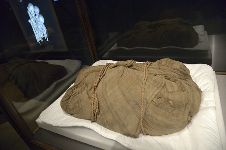 Usa Mummies Exhibition - Sep 2015 Stock Pictures, Editorial Images and ...