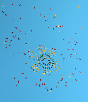 222 Skydivers World Team Break Formation Editorial Stock Photo - Stock ...