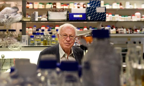 Tomas Lindahl Poses Lab After Winning Editorial Stock Photo - Stock ...