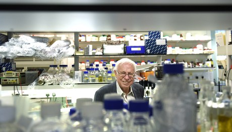 Tomas Lindahl Poses Lab After Winning Editorial Stock Photo - Stock ...