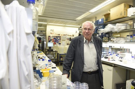 Tomas Lindahl Poses Lab After Winning Editorial Stock Photo - Stock ...