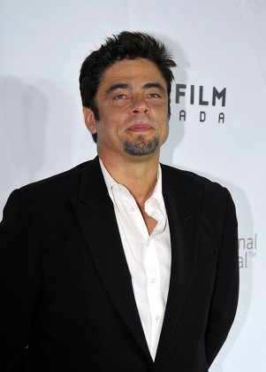 Puerto Rican Actor Cast Member Benicio Editorial Stock Photo - Stock ...