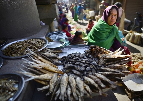 Manipuri Woman Sells Smoked Dry Fish Editorial Stock Photo - Stock ...